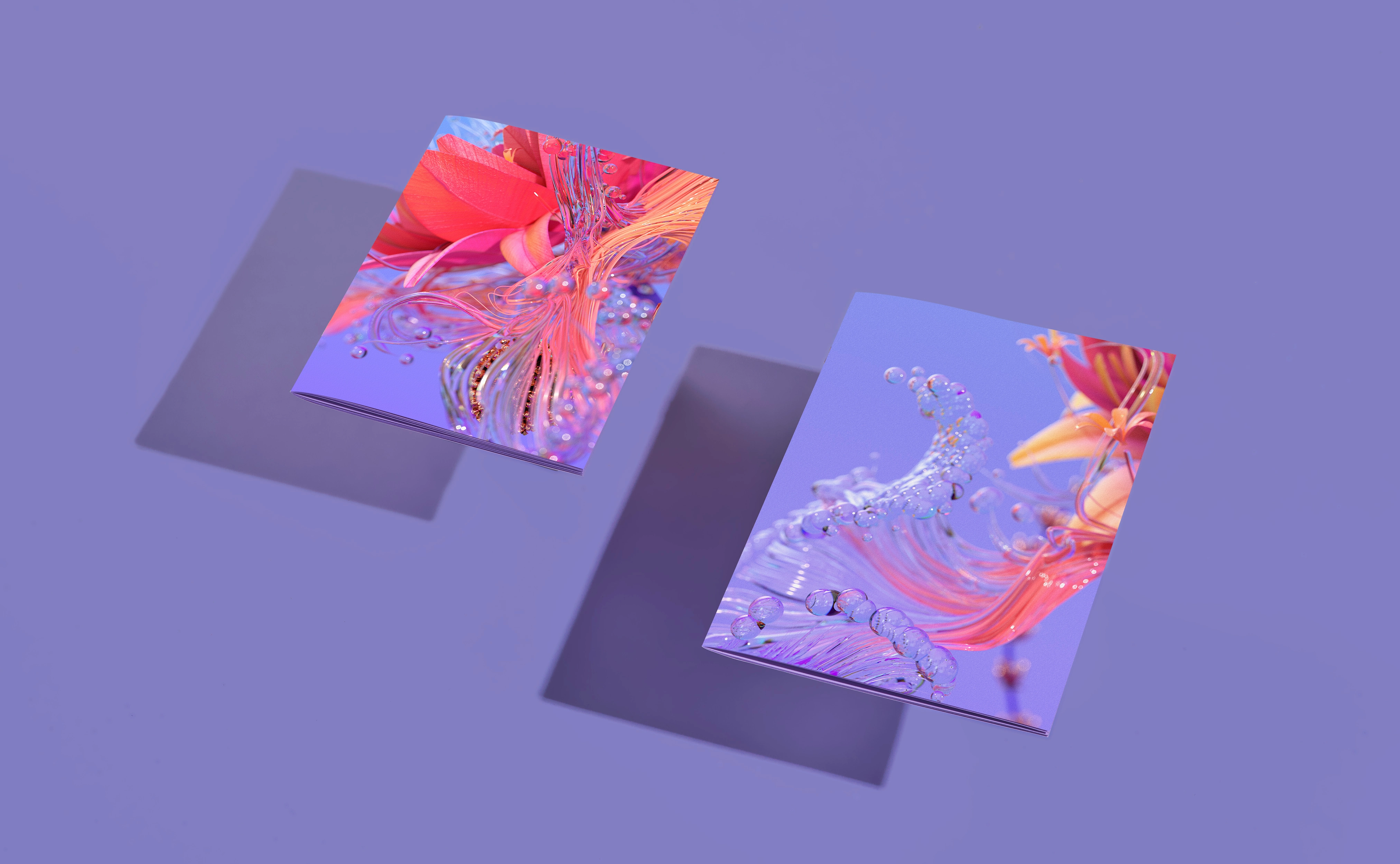 Argo Collateral – Mash Design